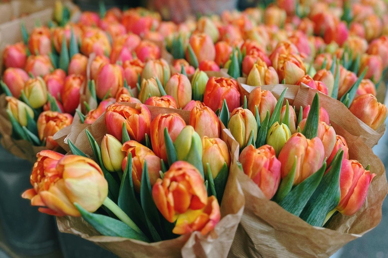 Best Temperature To Store Flowers for Florists - Dry Box Cold Storage